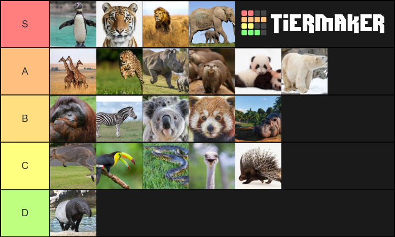zoo animals Tier List (Community Rankings) - TierMaker