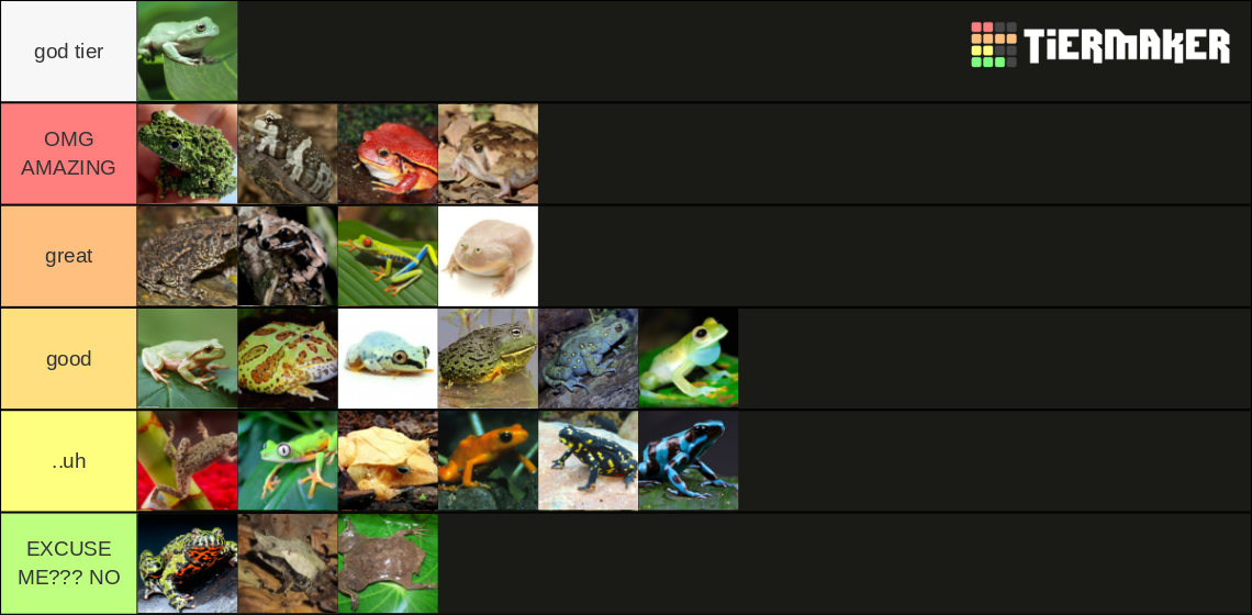Pet frog tierlist Tier List (Community Rankings) - TierMaker