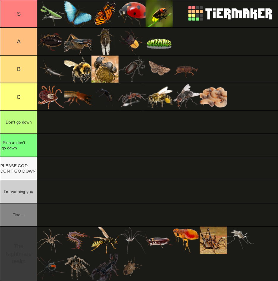 Insect/Arachnid Tierlist Tier List (Community Rankings) - TierMaker