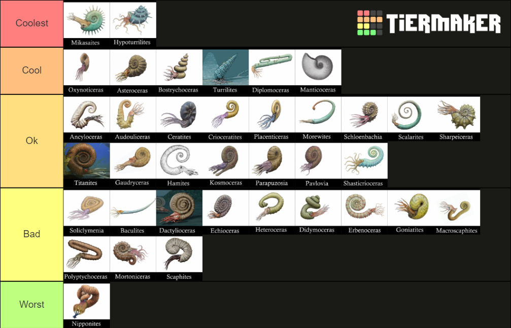 Ammonite species Tier List (Community Rankings) - TierMaker