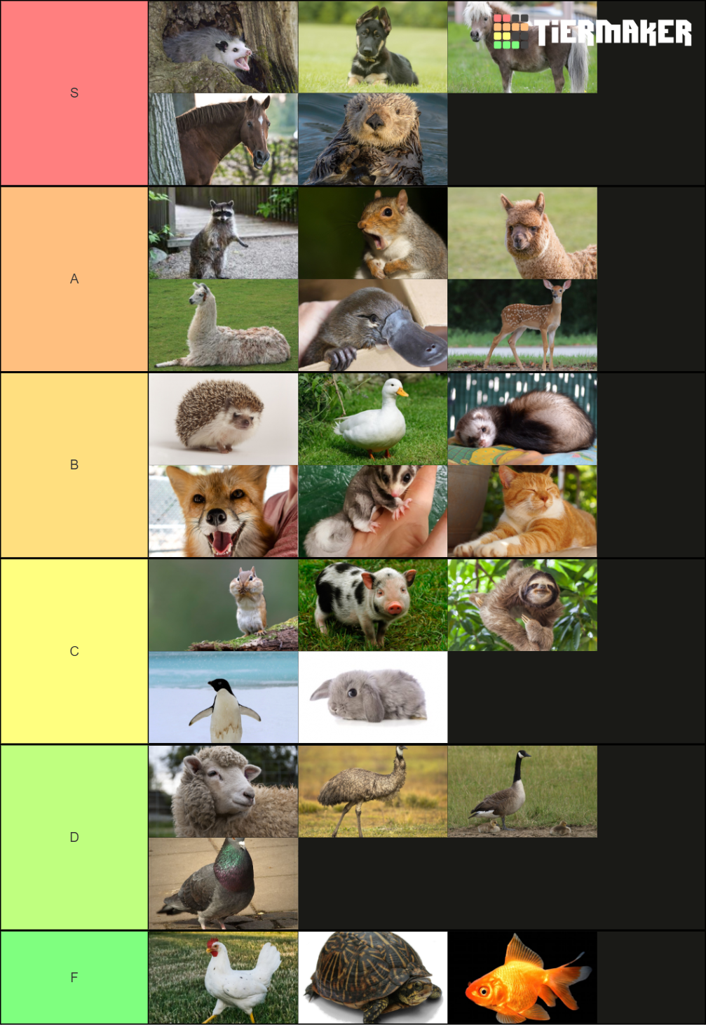 The Audrey Animal Tier List (Community Rankings) - TierMaker