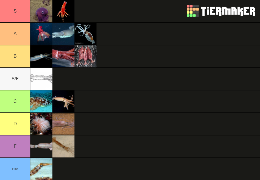 Squids Tier List (Community Rankings) - TierMaker