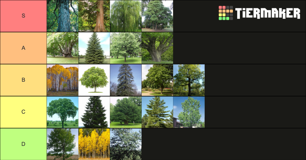 Trees Tier List (Community Rankings) - TierMaker