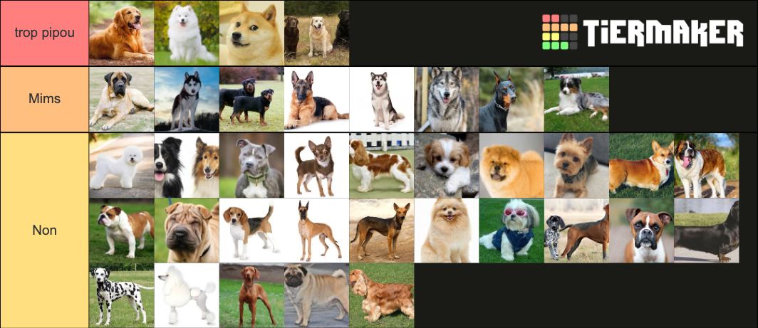Dog breed Tier List (Community Rankings) - TierMaker