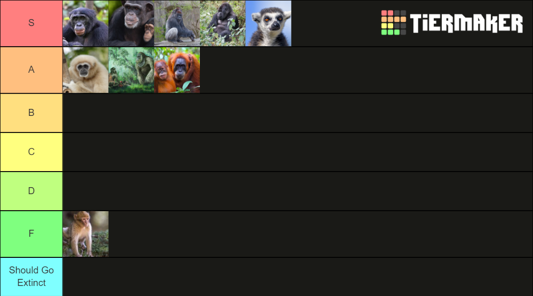 Ultimate Primate Tier List (Community Rankings) - TierMaker