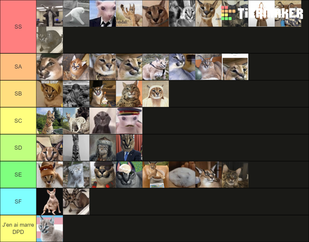 Floppa Lore Characters Tier List (Community Rankings) - TierMaker