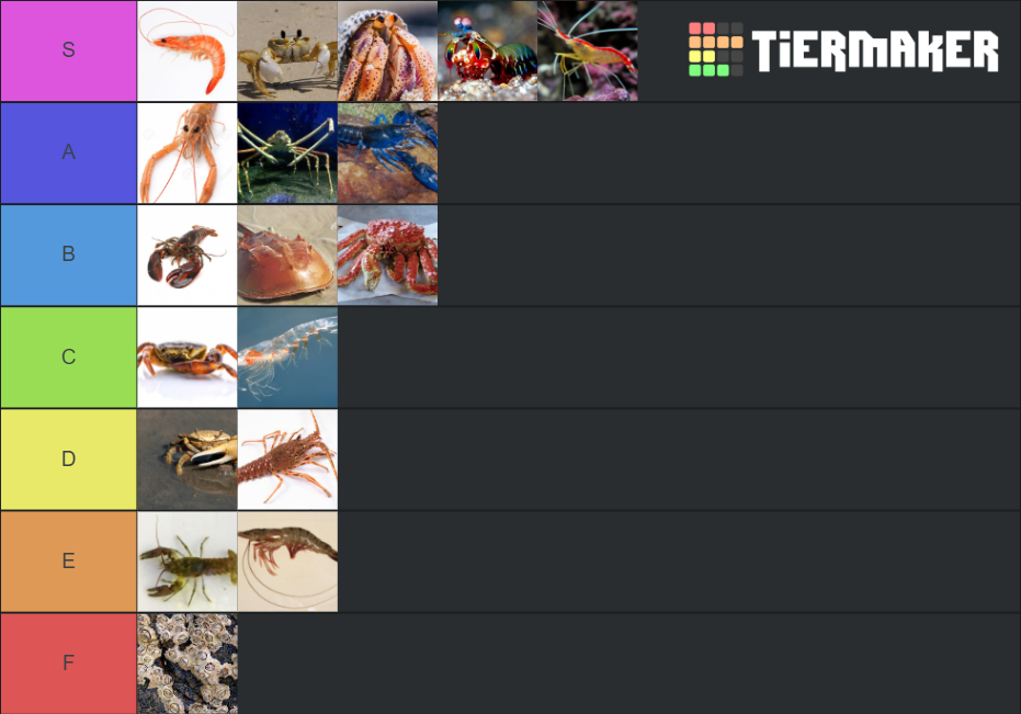 Members of the Crustacean Family Tier List (Community Rankings) - TierMaker