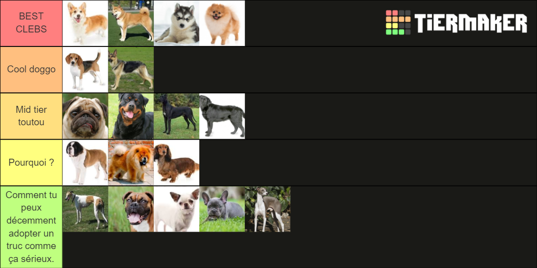 Best dog breeds! Tier List (Community Rankings) - TierMaker