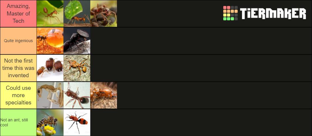 ants ants ants ants ants Tier List (Community Rankings) - TierMaker