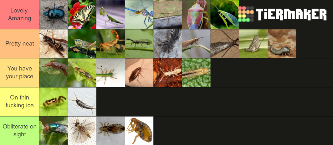 Insect Orders Tier List (Community Rankings) - TierMaker