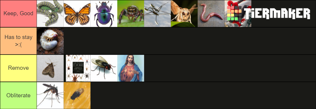 bug Tier List (Community Rankings) - TierMaker
