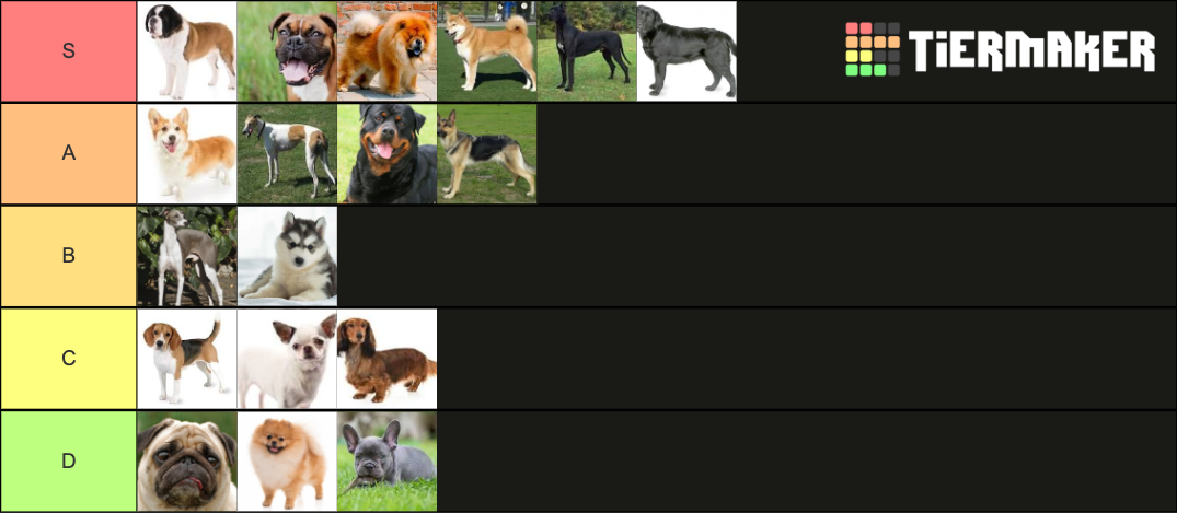 Best dog breeds! Tier List (Community Rankings) - TierMaker