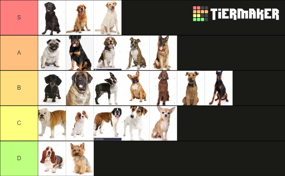 Types of Dogs Tier List (Community Rankings) - TierMaker