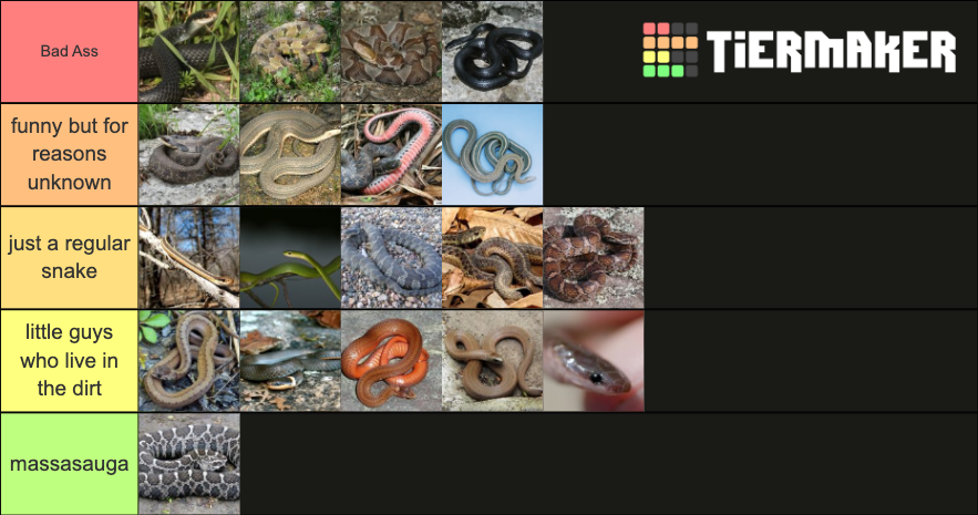 pennsylvania snakes Tier List (Community Rankings) - TierMaker