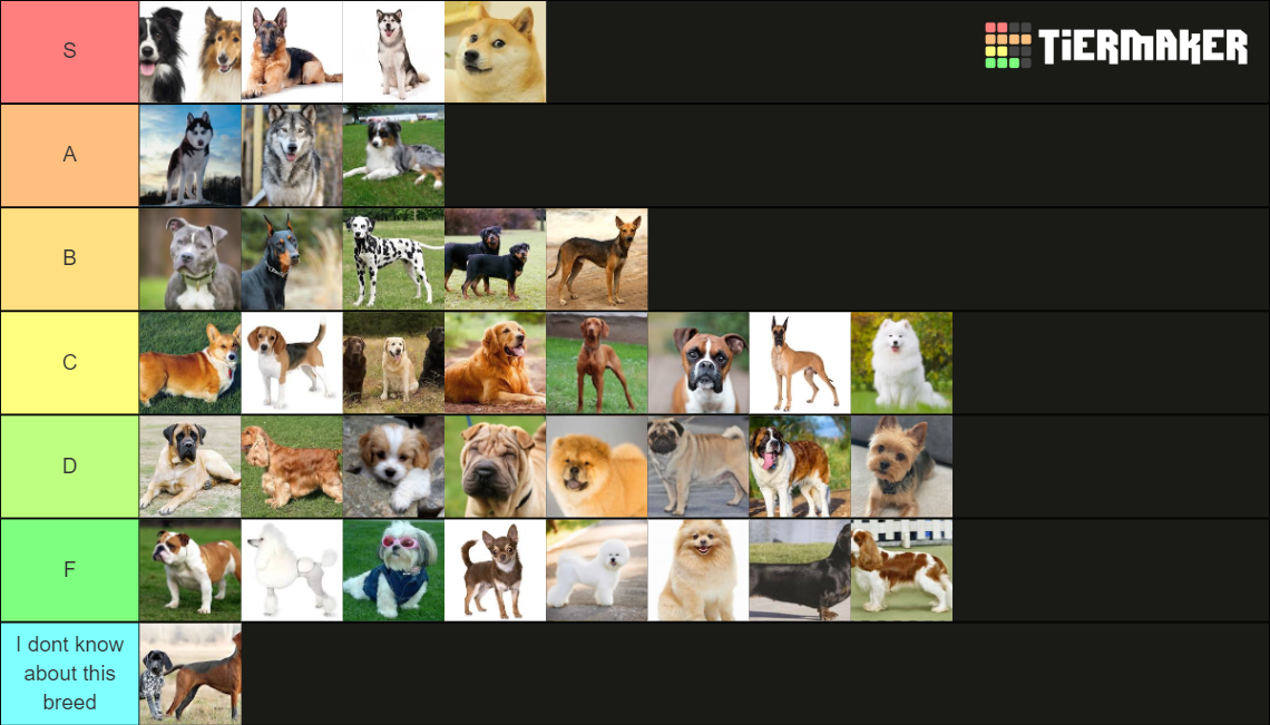 Dog breed Tier List (Community Rankings) - TierMaker