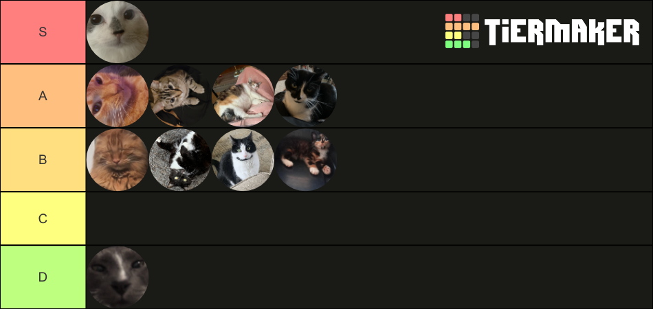 cat tierlist Tier List (Community Rankings) - TierMaker