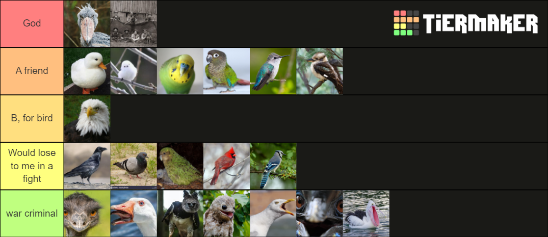 Birds, ranked by me. Tier List (Community Rankings) - TierMaker