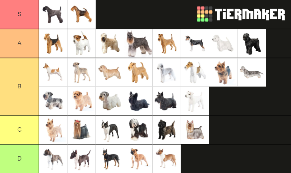 Terrier Dog Breeds Tier List (Community Rankings) - TierMaker