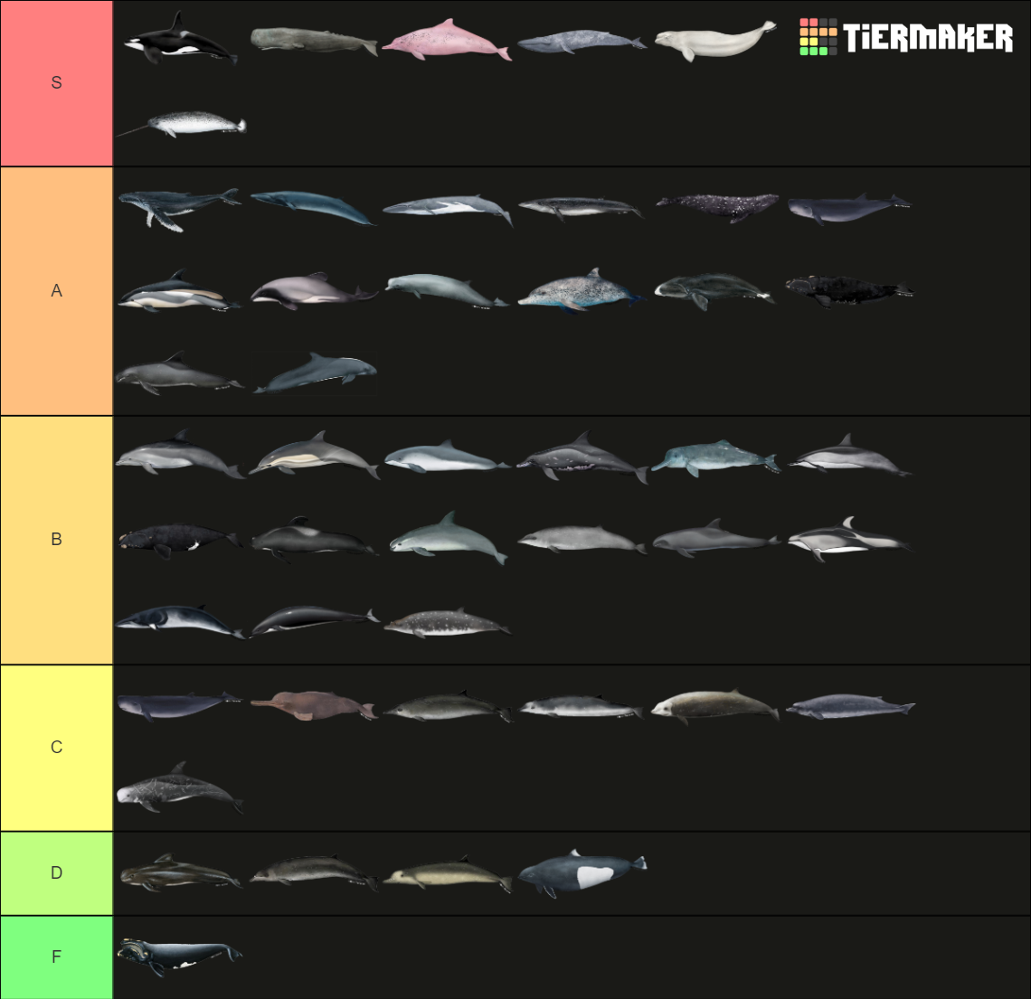 Whales tierlist Tier List (Community Rankings) - TierMaker