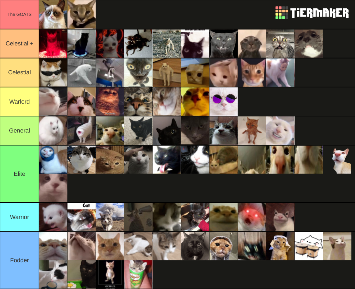Powerscaling cat memes :) + Tier List (Community Rankings) - TierMaker