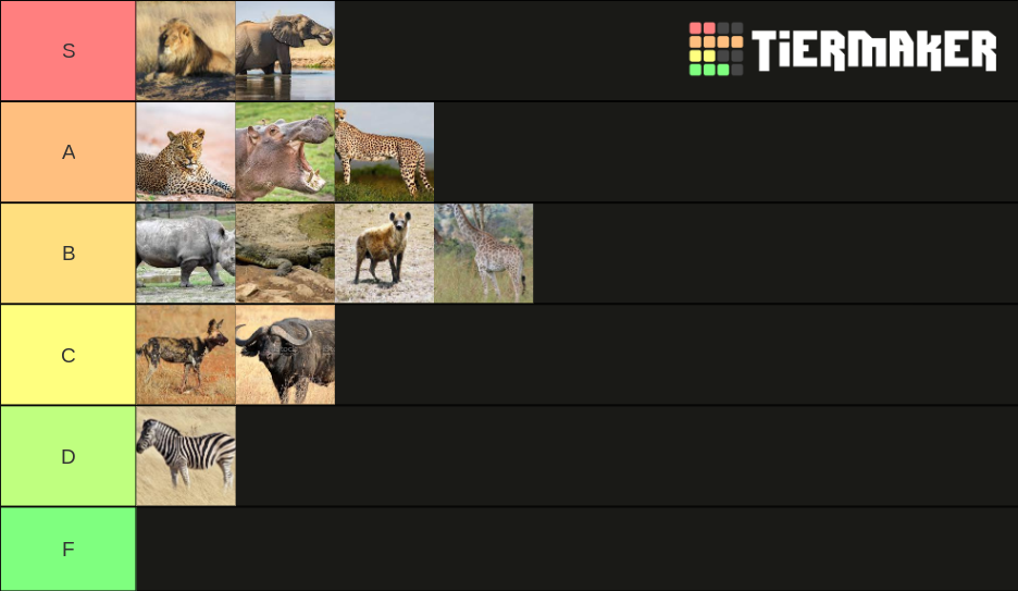 African Animals Tier List (Community Rankings) - TierMaker