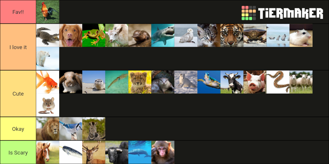 What Your Favourite Animal Tier List (Community Rankings) - TierMaker