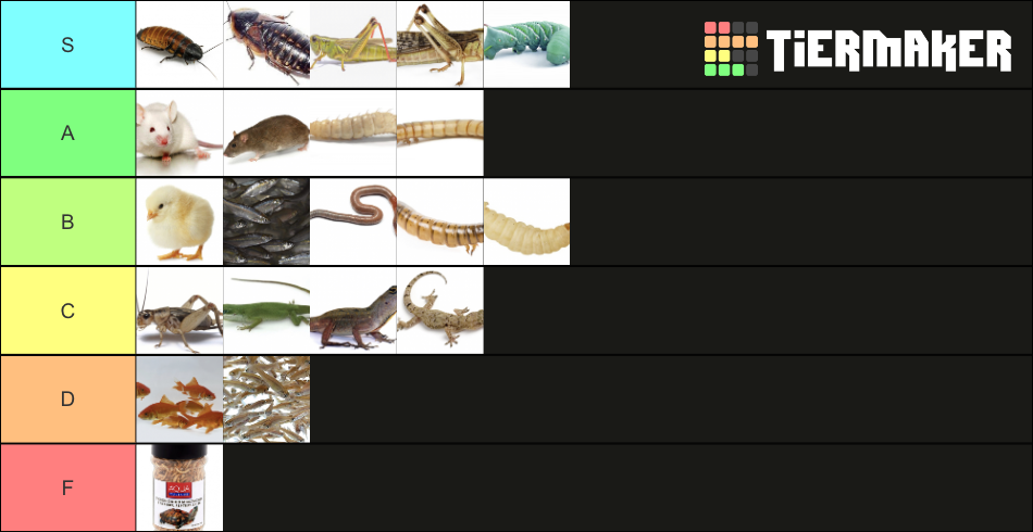 Reptile Feeders Tier List (Community Rankings) - TierMaker