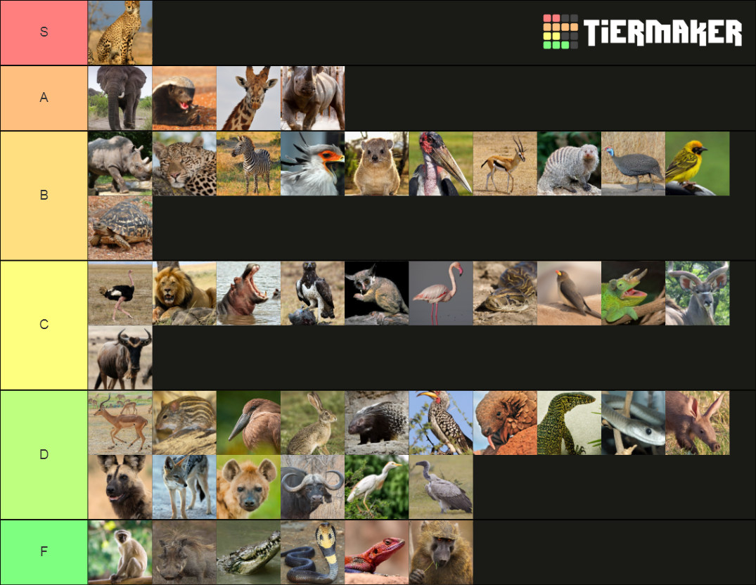 African Savannah Animals Tier List (Community Rankings) - TierMaker