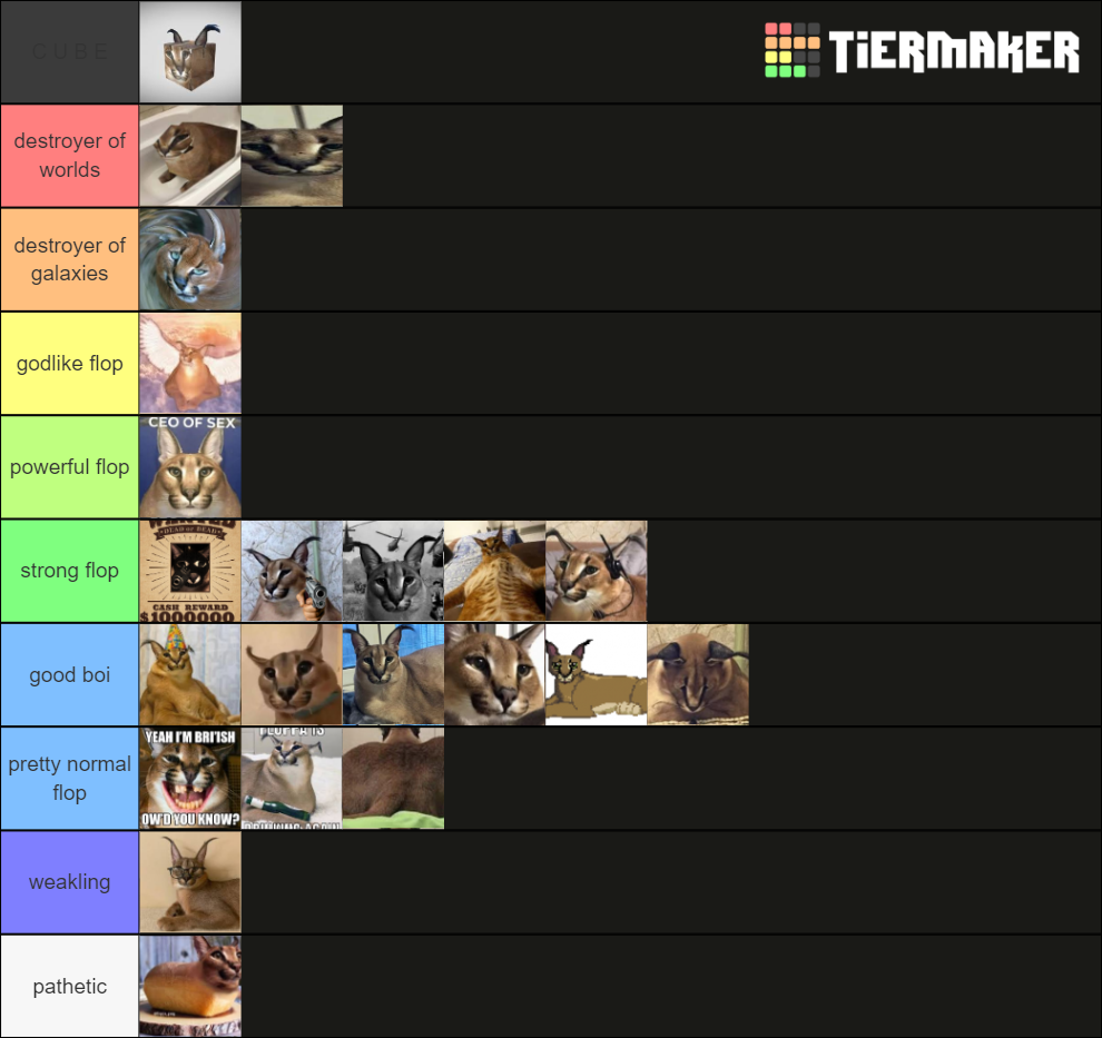 floppa power levels Tier List (Community Rankings) - TierMaker