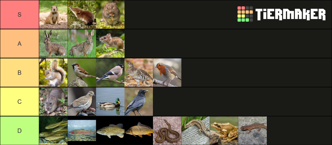 Battle Cats Prey Tier List (Community Rankings) - TierMaker
