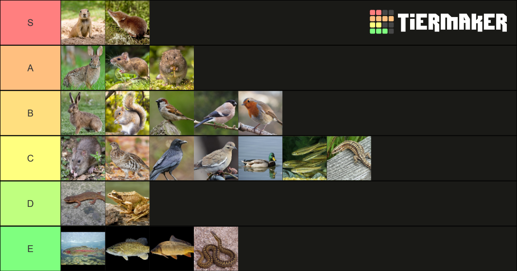 Battle Cats Prey Tier List (Community Rankings) - TierMaker
