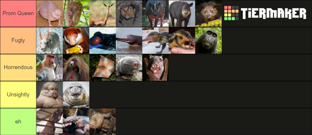 Ugly Mammals Tier List (Community Rankings) - TierMaker