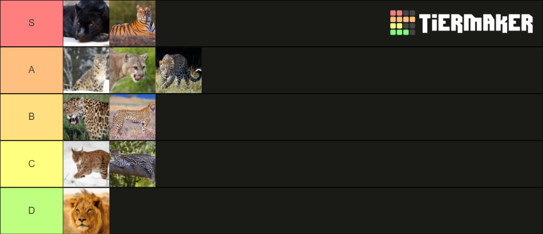Big Cat Tier List (Community Rankings) - TierMaker
