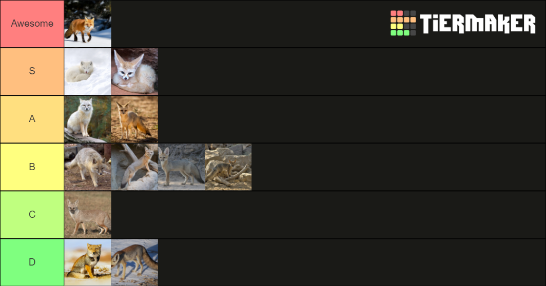 12 Species of True Foxes Tier List (Community Rankings) - TierMaker