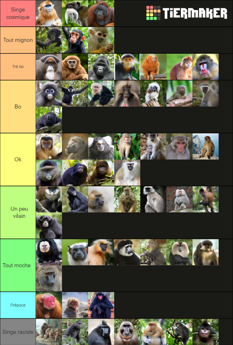 Monkeys/Apes Tier List (Community Rankings) - TierMaker