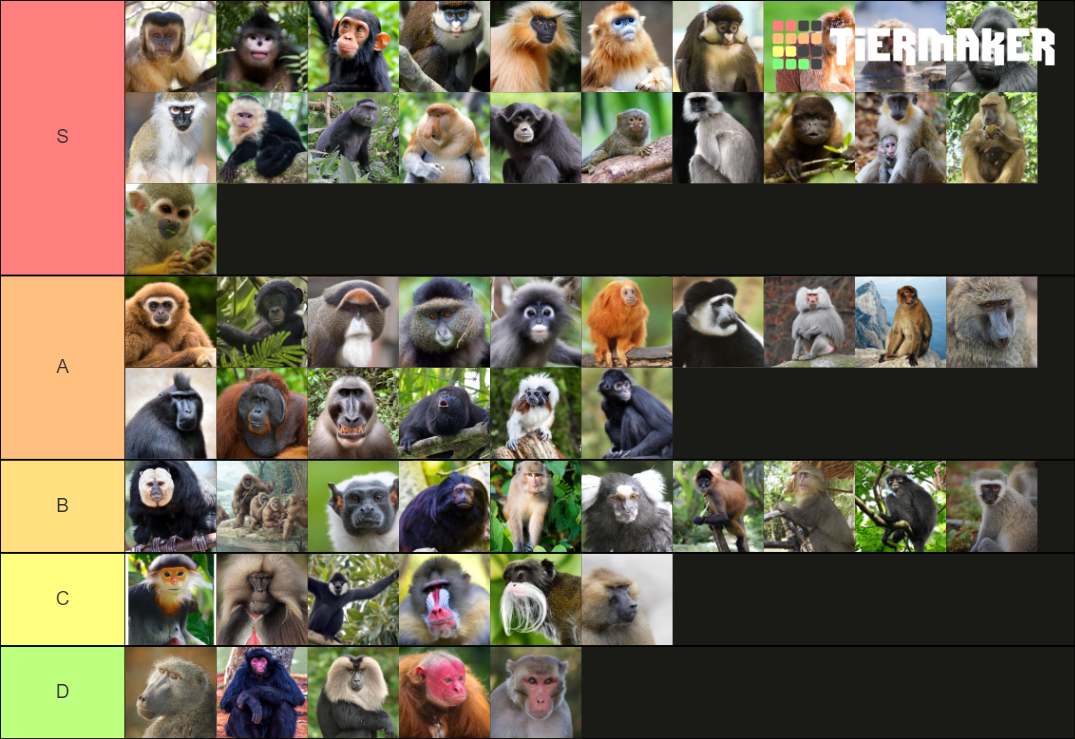 Monkeys/Apes Tier List (Community Rankings) - TierMaker