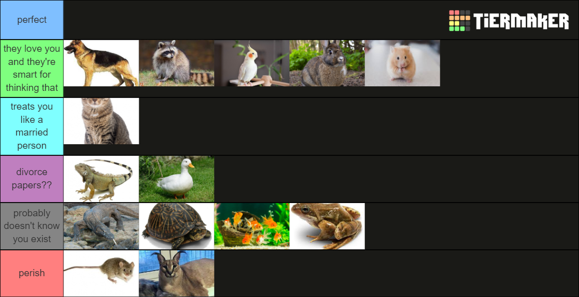Domestic Animals Tier List (Community Rankings) - TierMaker