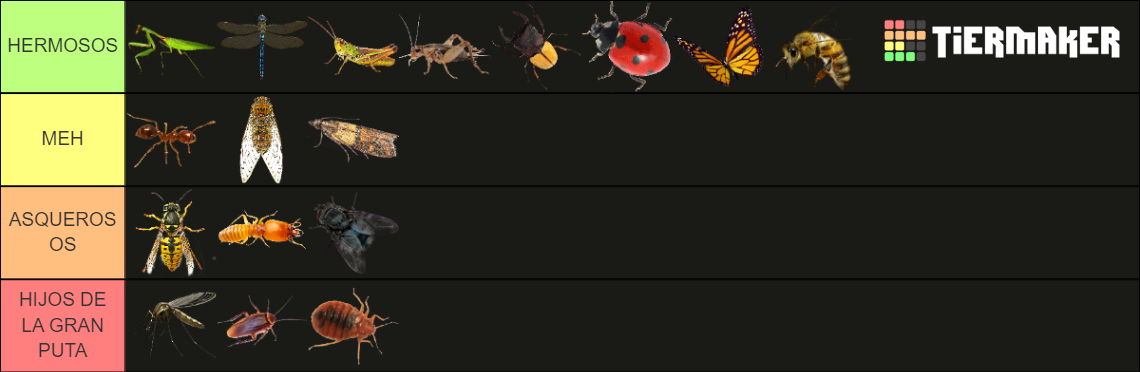 Insects Tier List (Community Rankings) - TierMaker