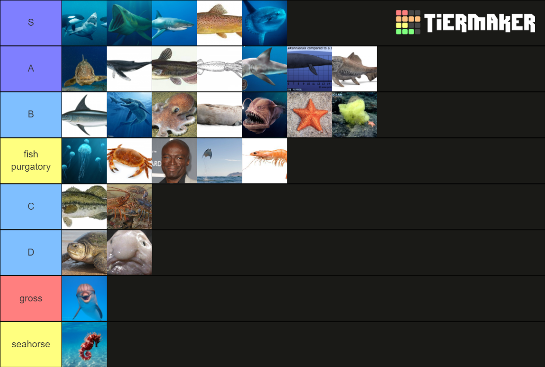 sea animal Tier List (Community Rankings) - TierMaker