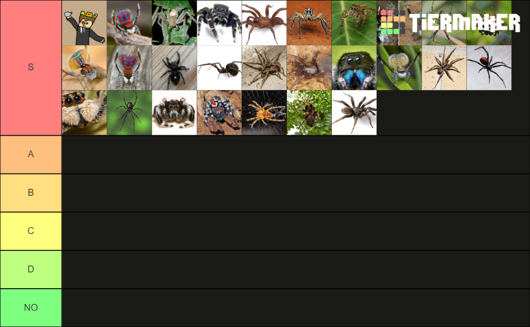Spider Species Tier List (Community Rankings) - TierMaker