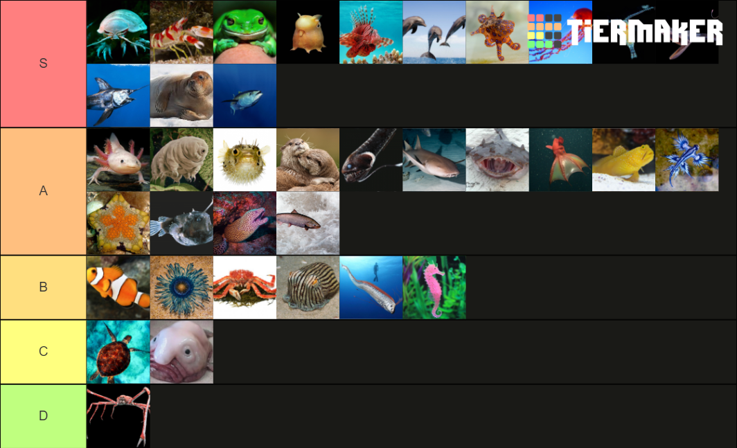 Ultimate sea creatures Tier List (Community Rankings) - TierMaker