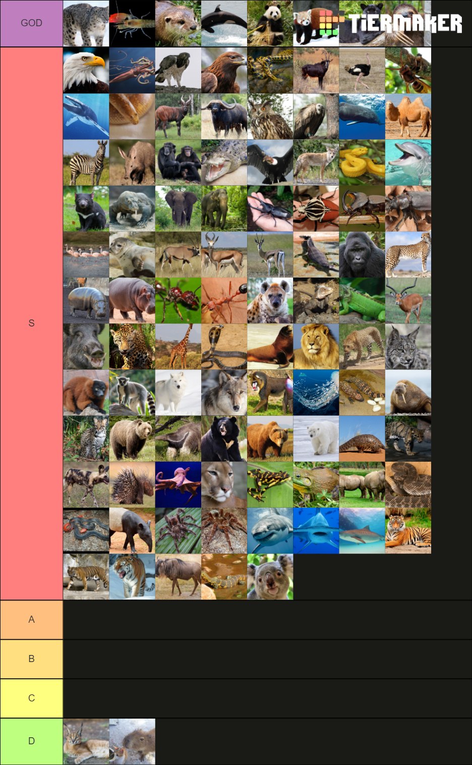 Top Animales Salvajes Tier List (Community Rankings) - TierMaker