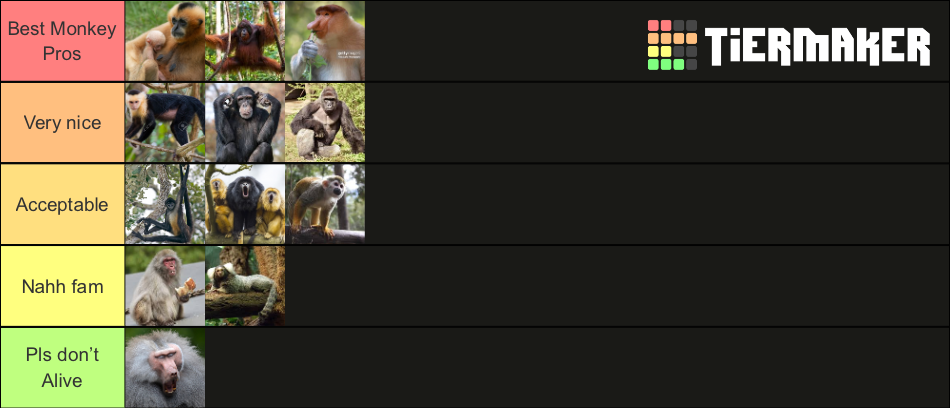 Monkey Best Tier List (Community Rankings) - TierMaker