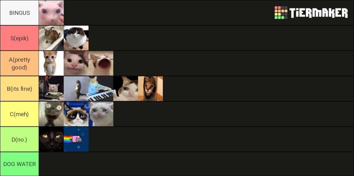 Cat memes Tier List (Community Rankings) - TierMaker