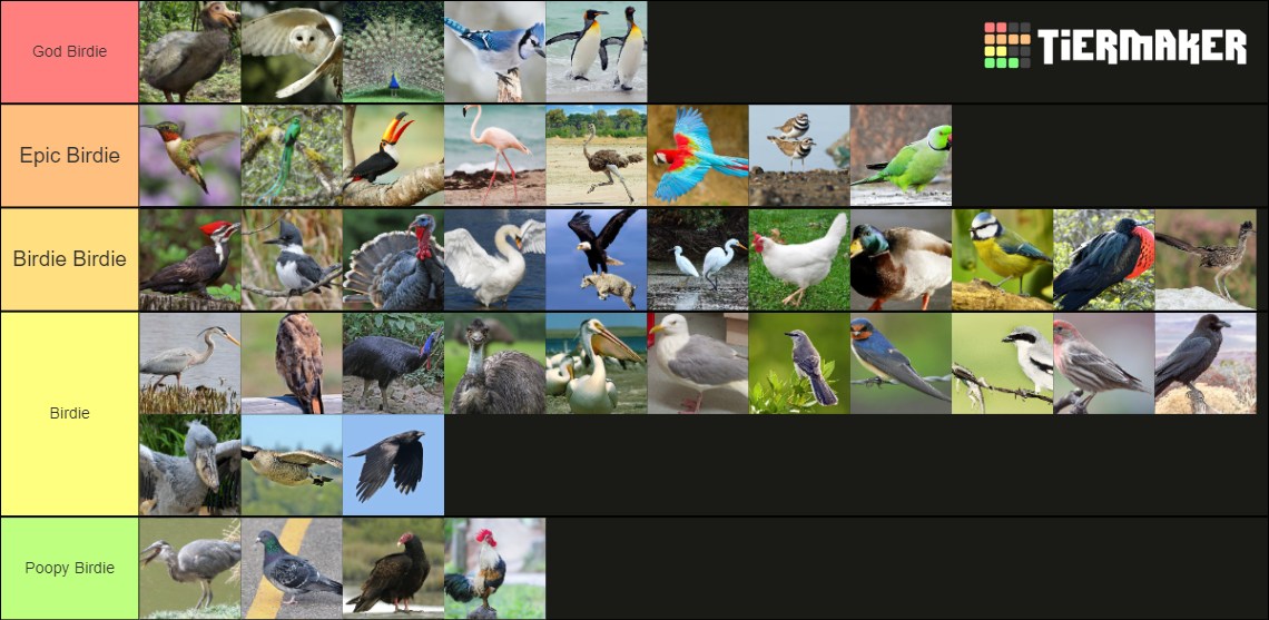 Bird TierList Tier List (Community Rankings) - TierMaker