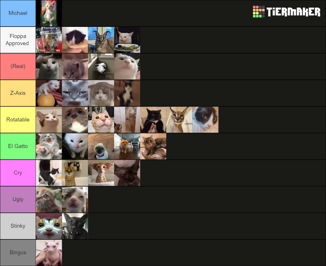 Meme Cats Tier List (Community Rankings) - TierMaker