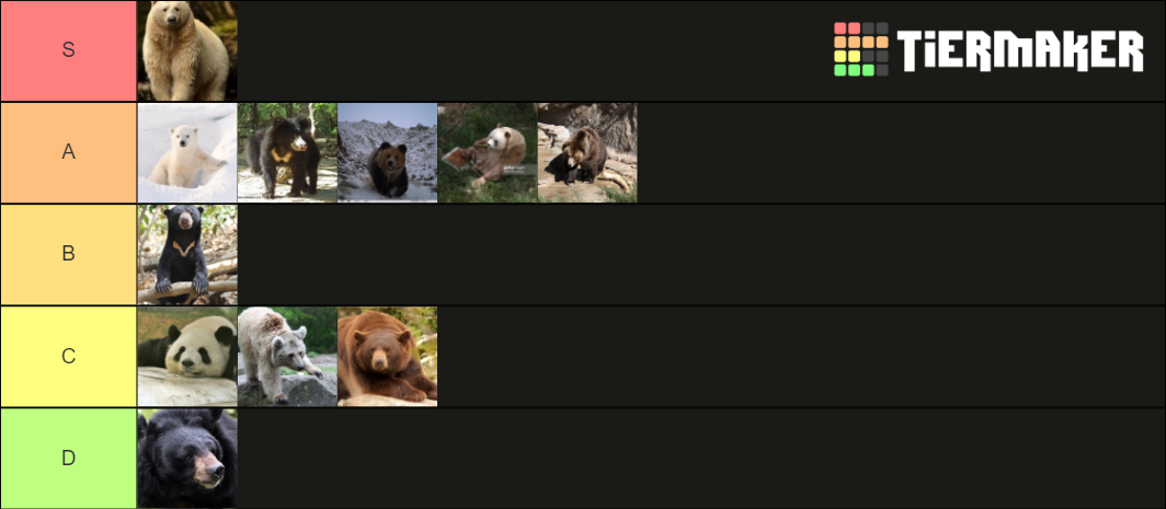 Bear species Tier List (Community Rankings) - TierMaker
