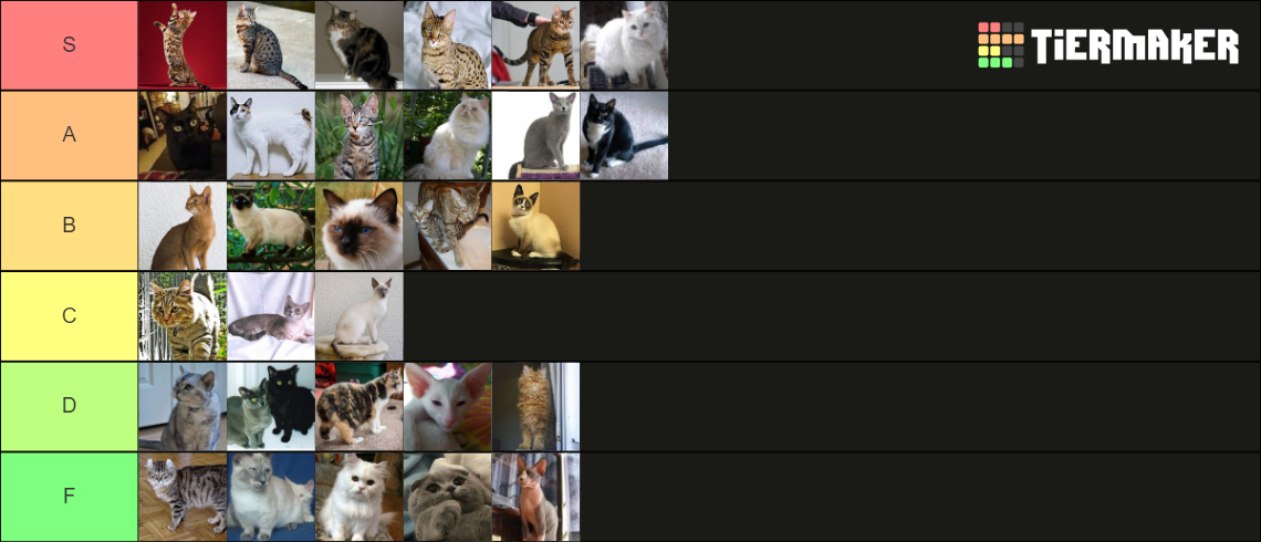 Cat Breed Tier List (Community Rankings) - TierMaker