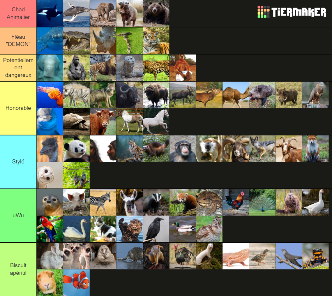 Tier-List animaux Tier List (Community Rankings) - TierMaker