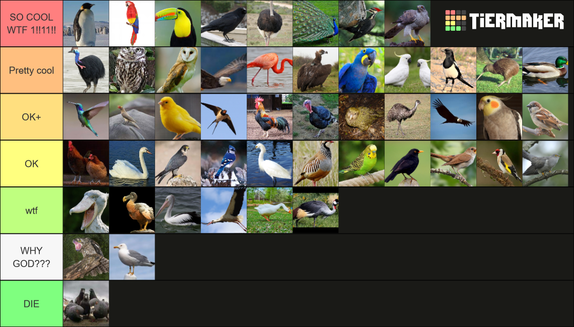 Bird 50 Birds Tier List Community Rankings TierMaker bird-50-birds-tier-list-community-rankings-tiermaker
